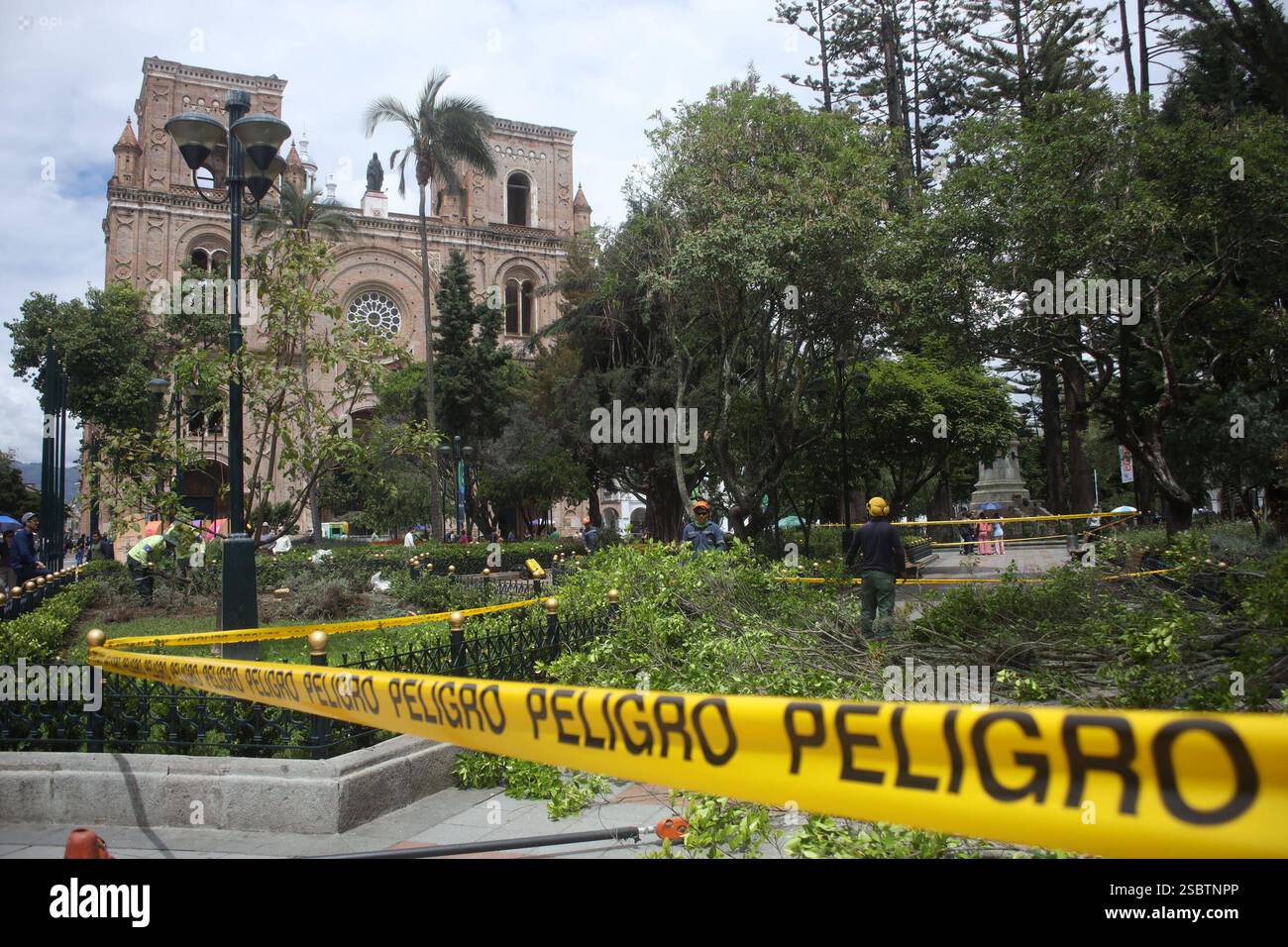 CUENCA FALLING TREES CALDERON PARK Cuenca,Ecuador February 4, 2025 The ...
