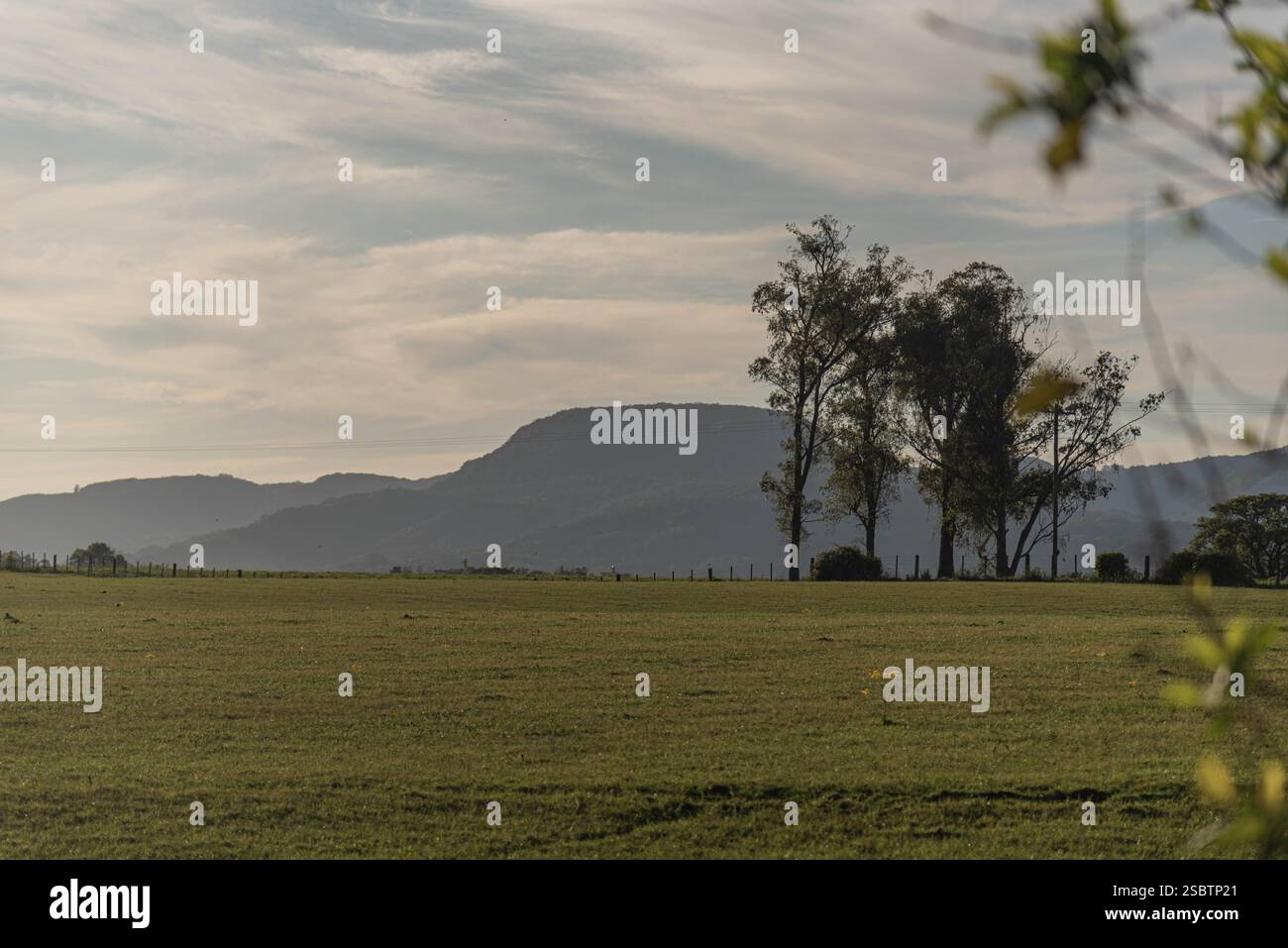 Landscape in a rural area in southern Brazil Stock Photo - Alamy