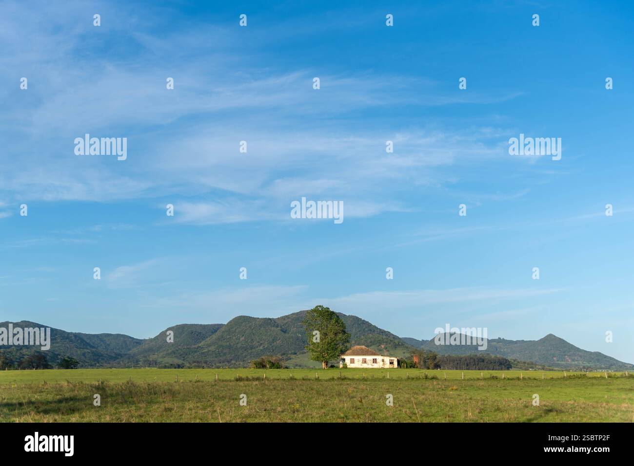 Landscape in a rural area in southern Brazil Stock Photo - Alamy