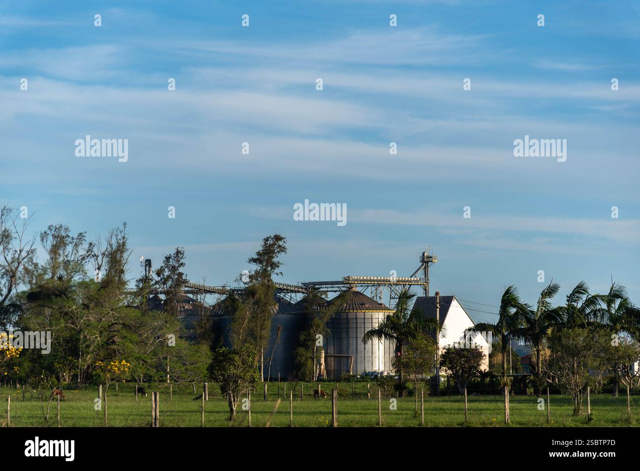 Landscape in a rural area in southern Brazil Stock Photo - Alamy