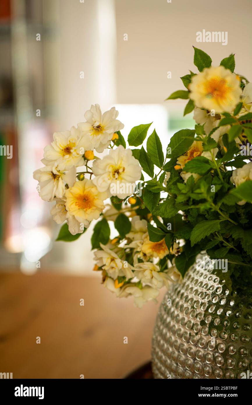 The romantic rose Helenae in a magic glass vase. Bokeh and partial ...
