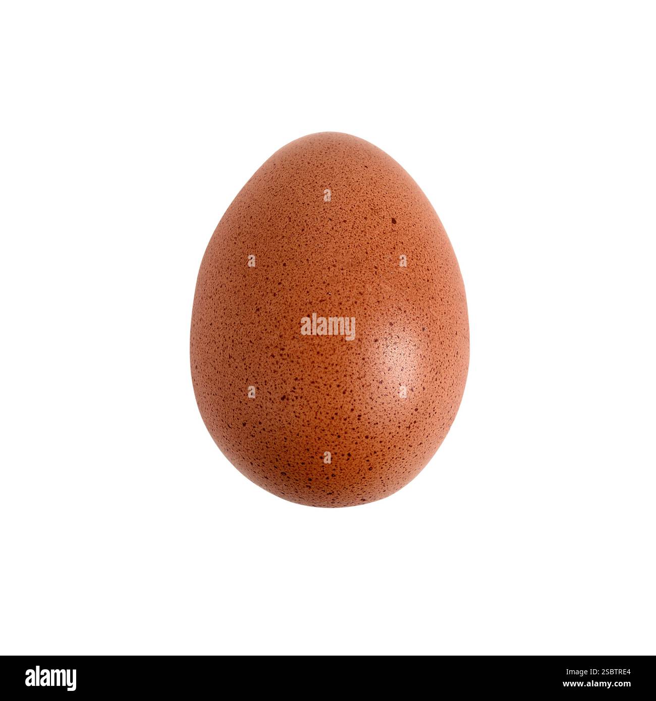 Brown chicken egg on transparent background Stock Photo - Alamy