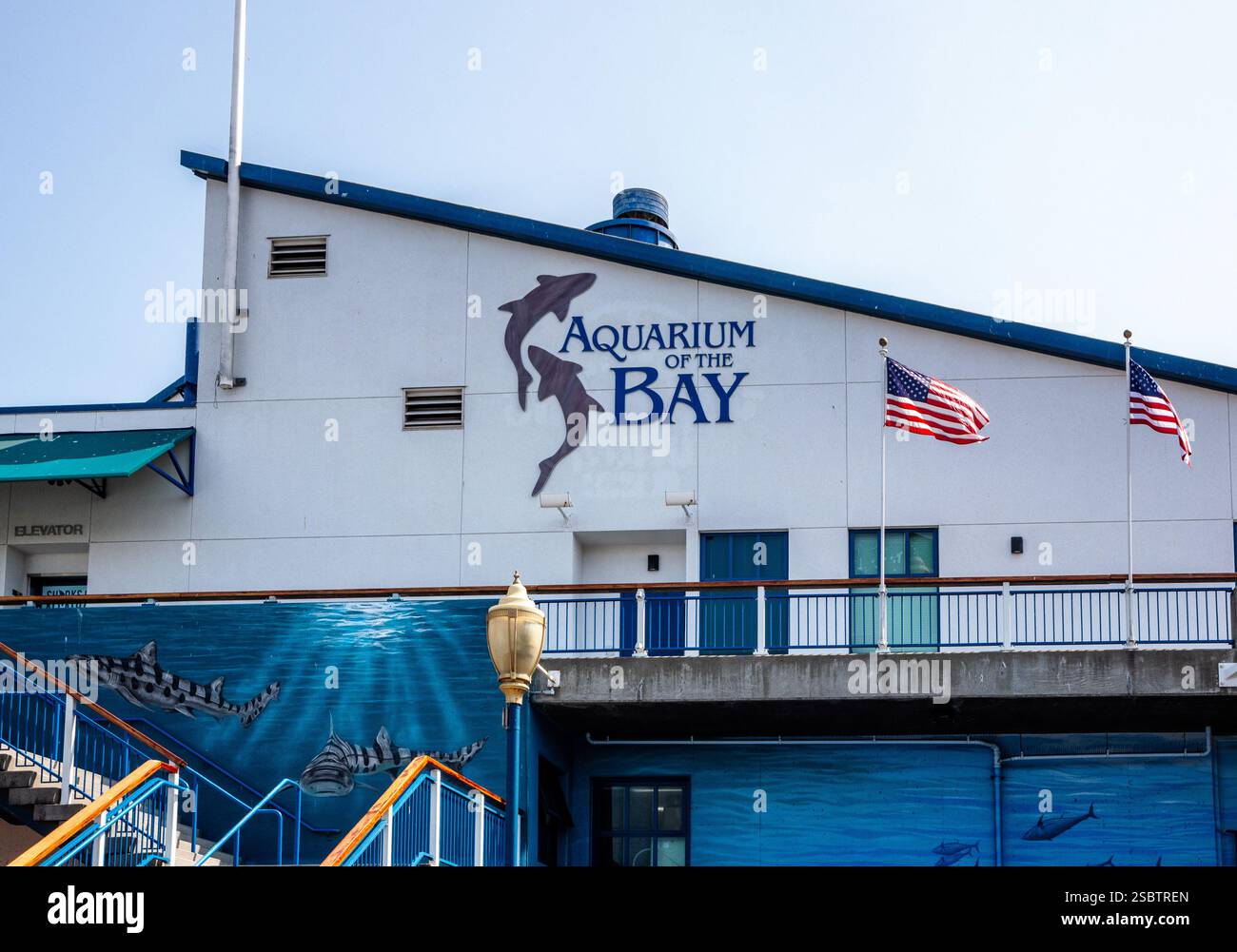 Aquarium bay in san francisco hi-res stock photography and images - Alamy