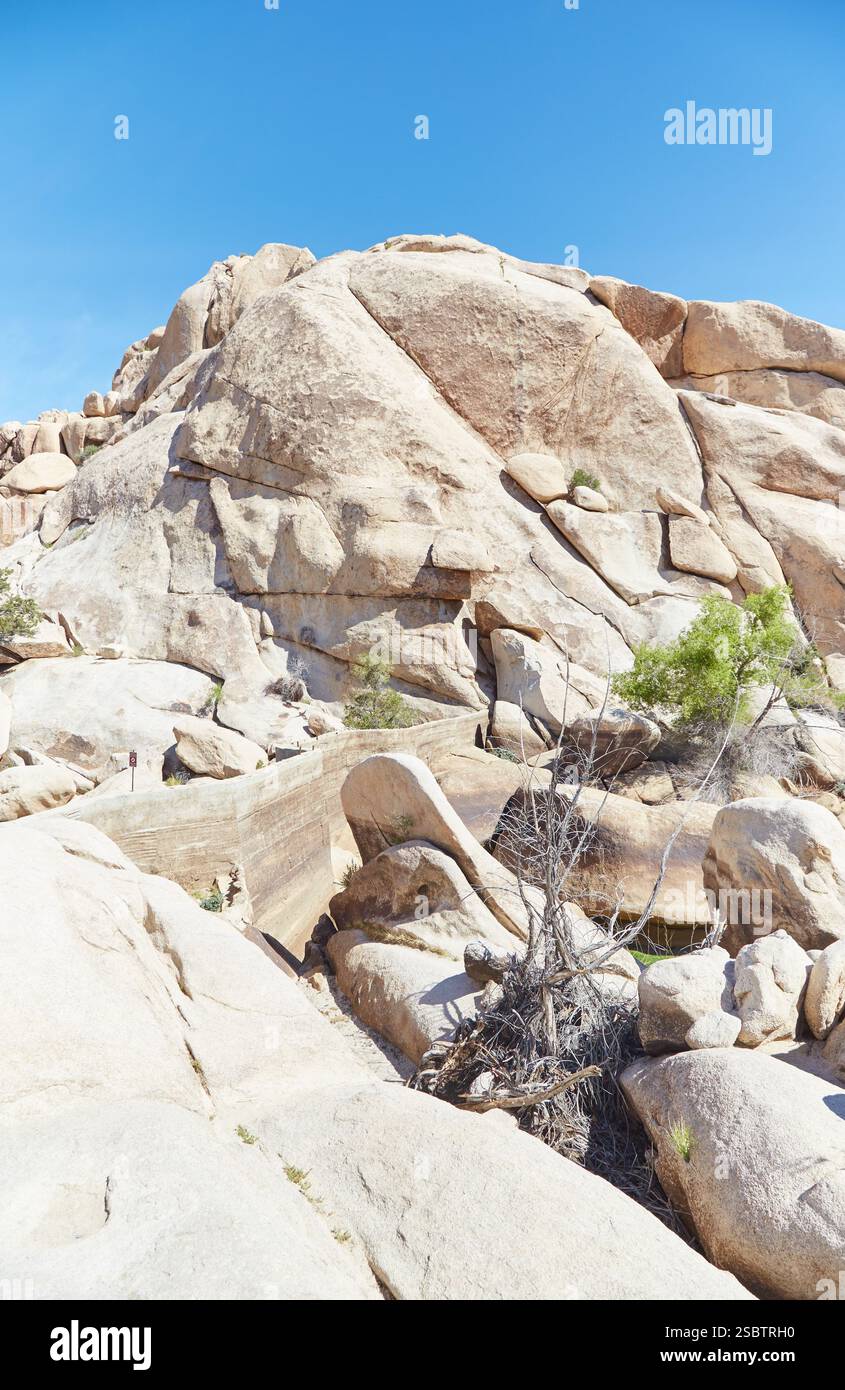 Joshua Tree National Park is where the Colorado and Mojave deserts ...