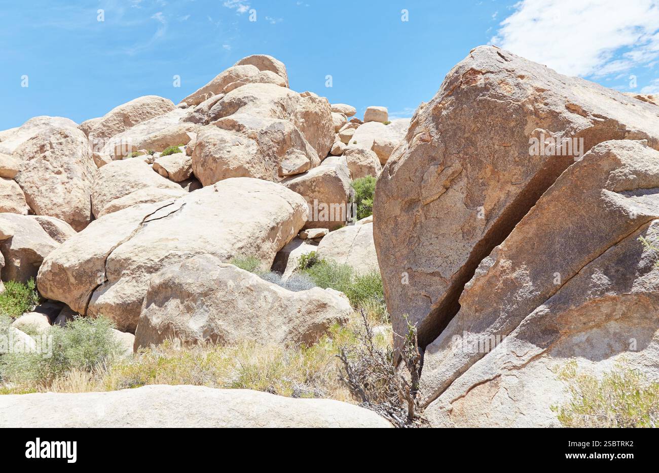 Joshua Tree National Park is where the Colorado and Mojave deserts ...