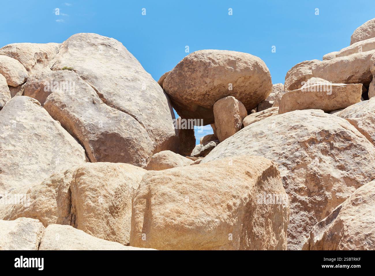 Joshua Tree National Park is where the Colorado and Mojave deserts ...