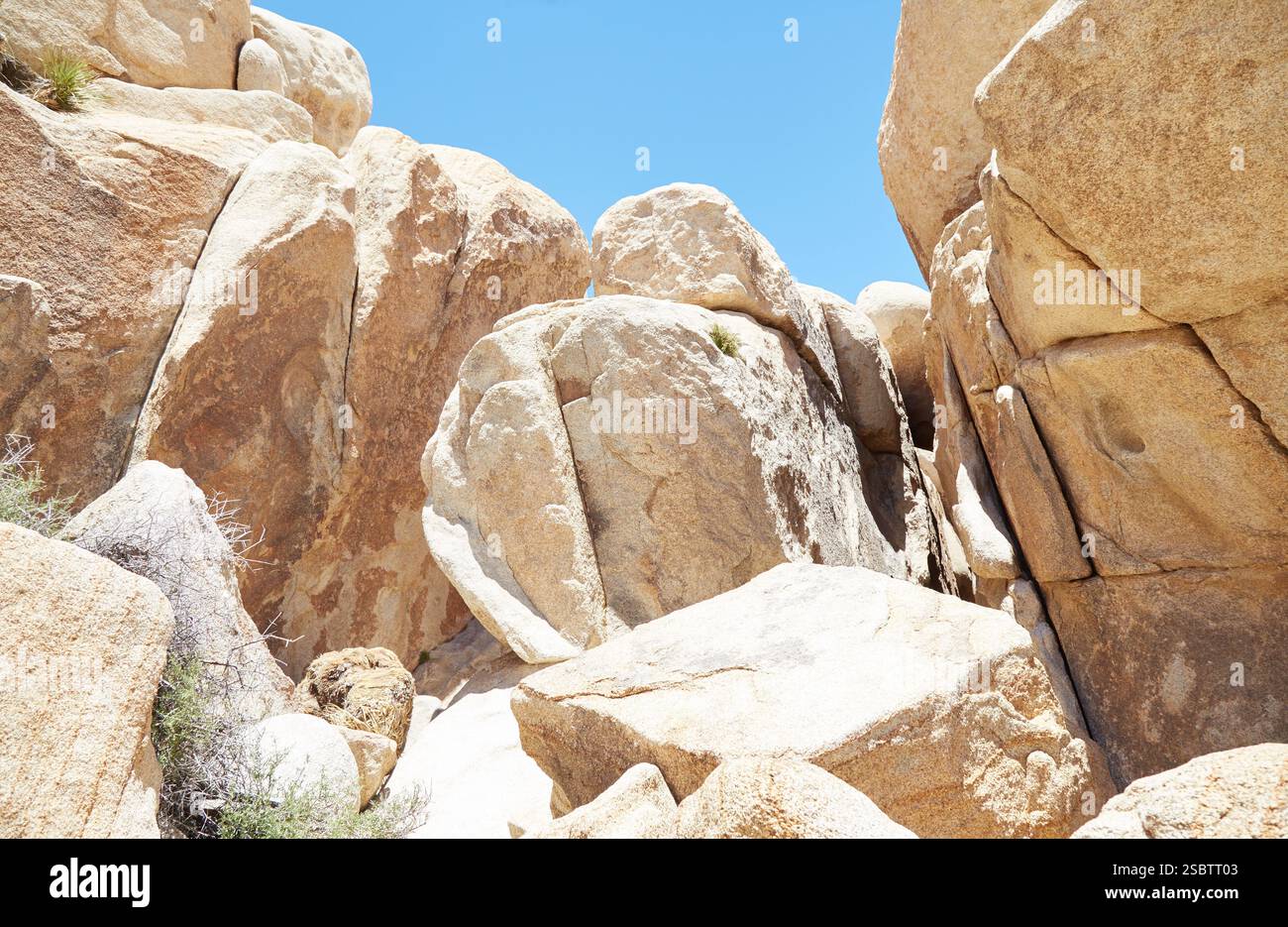 Joshua Tree National Park is where the Colorado and Mojave deserts ...