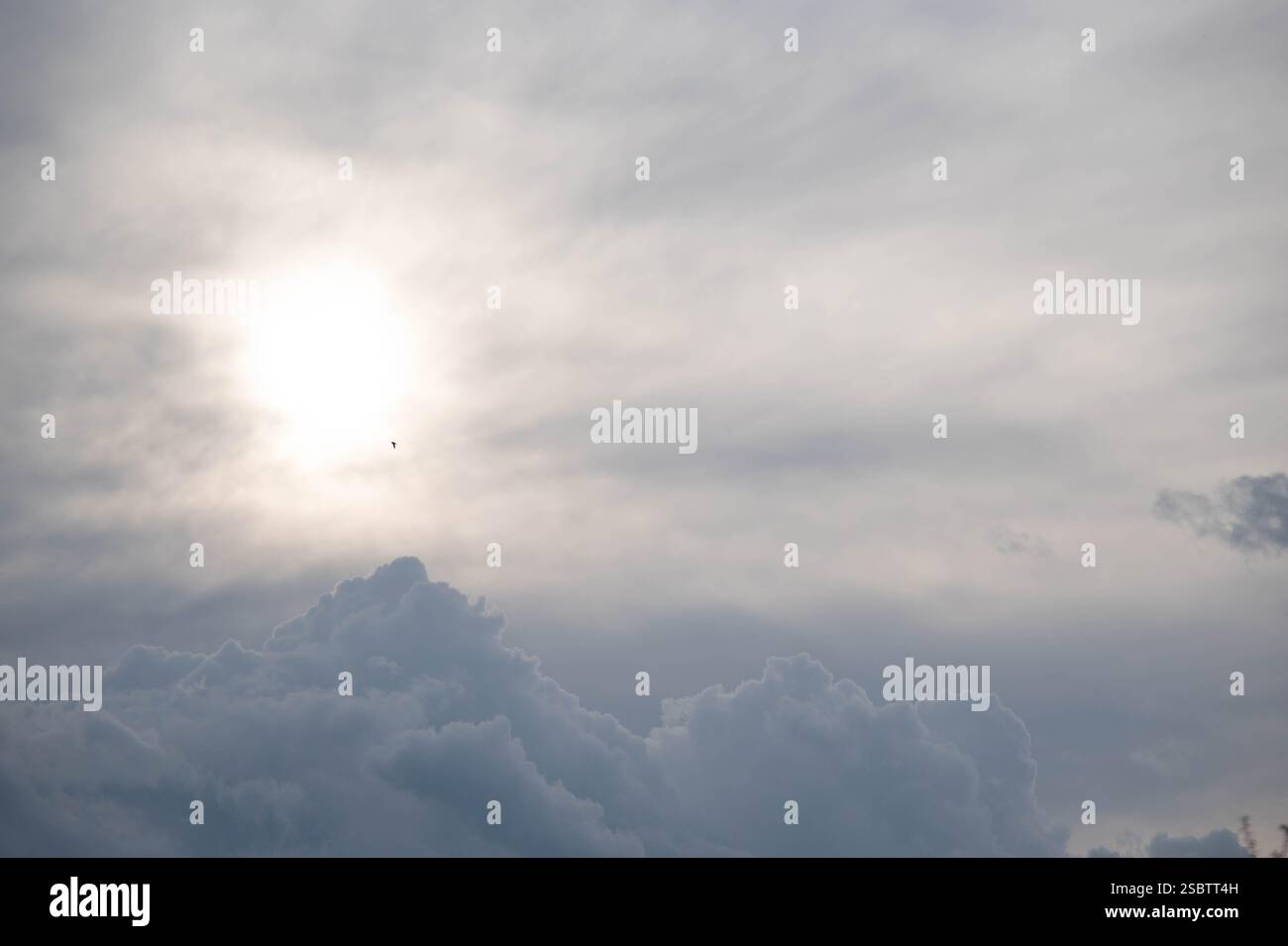 Rain clouds contrasting with the sun at the end of the day Stock Photo ...