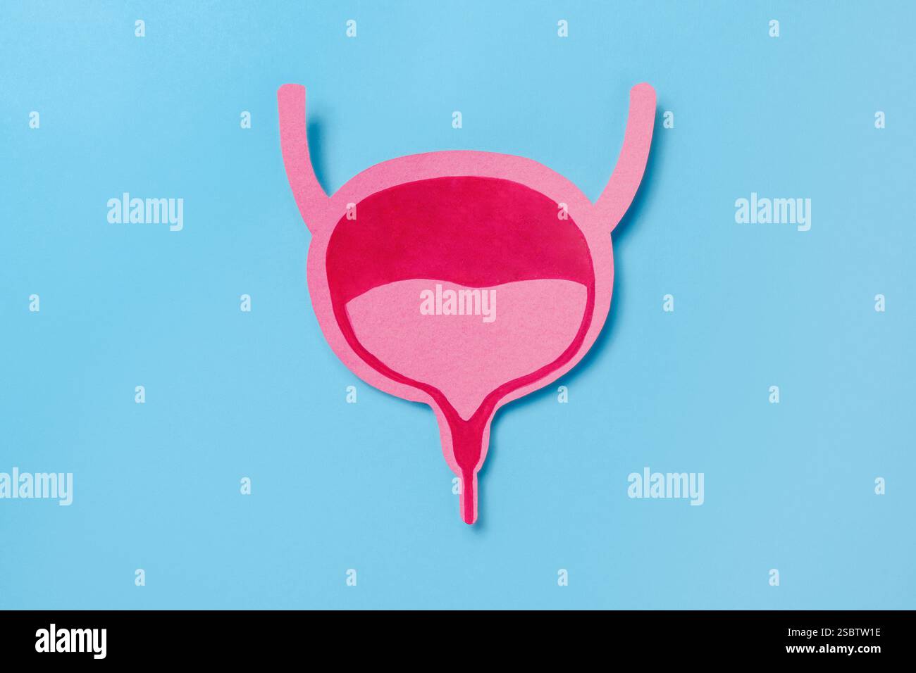 A pink bladder on a blue background represents urinary tract health, infections, and urological ...