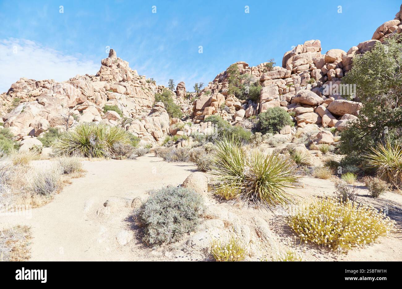 Joshua Tree National Park is where the Colorado and Mojave deserts ...