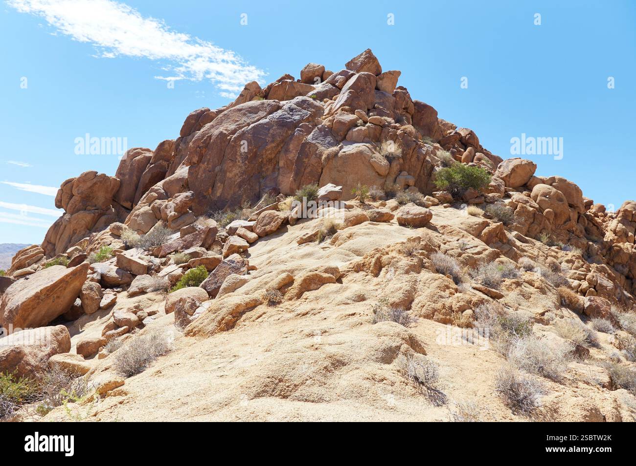 Joshua Tree National Park is where the Colorado and Mojave deserts ...
