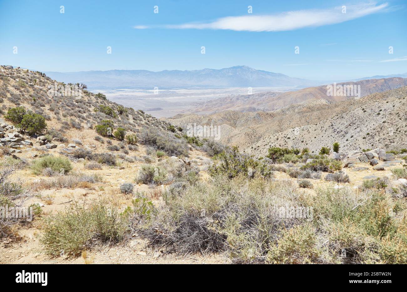 Joshua Tree National Park is where the Colorado and Mojave deserts ...