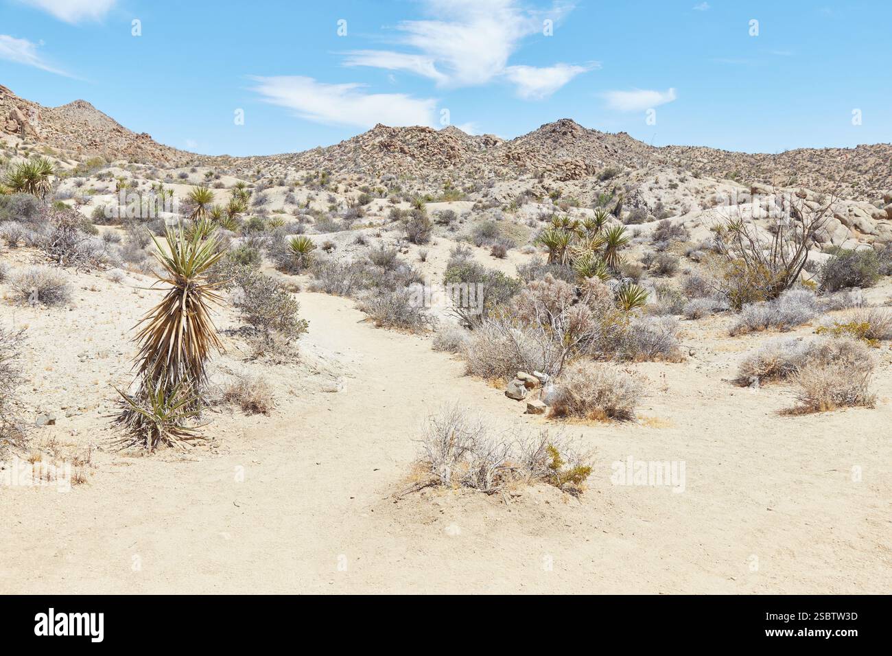 Joshua Tree National Park is where the Colorado and Mojave deserts ...