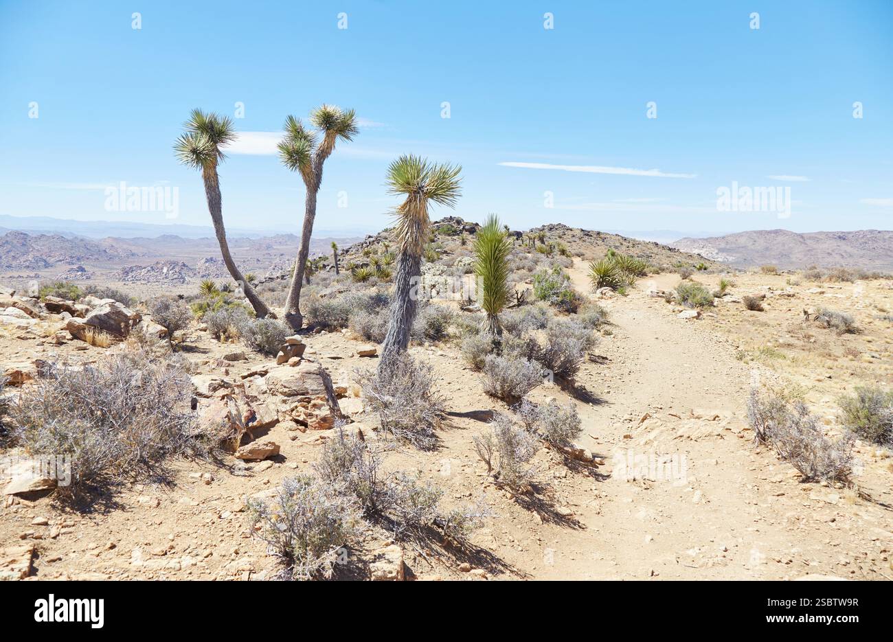 Joshua Tree National Park is where the Colorado and Mojave deserts ...