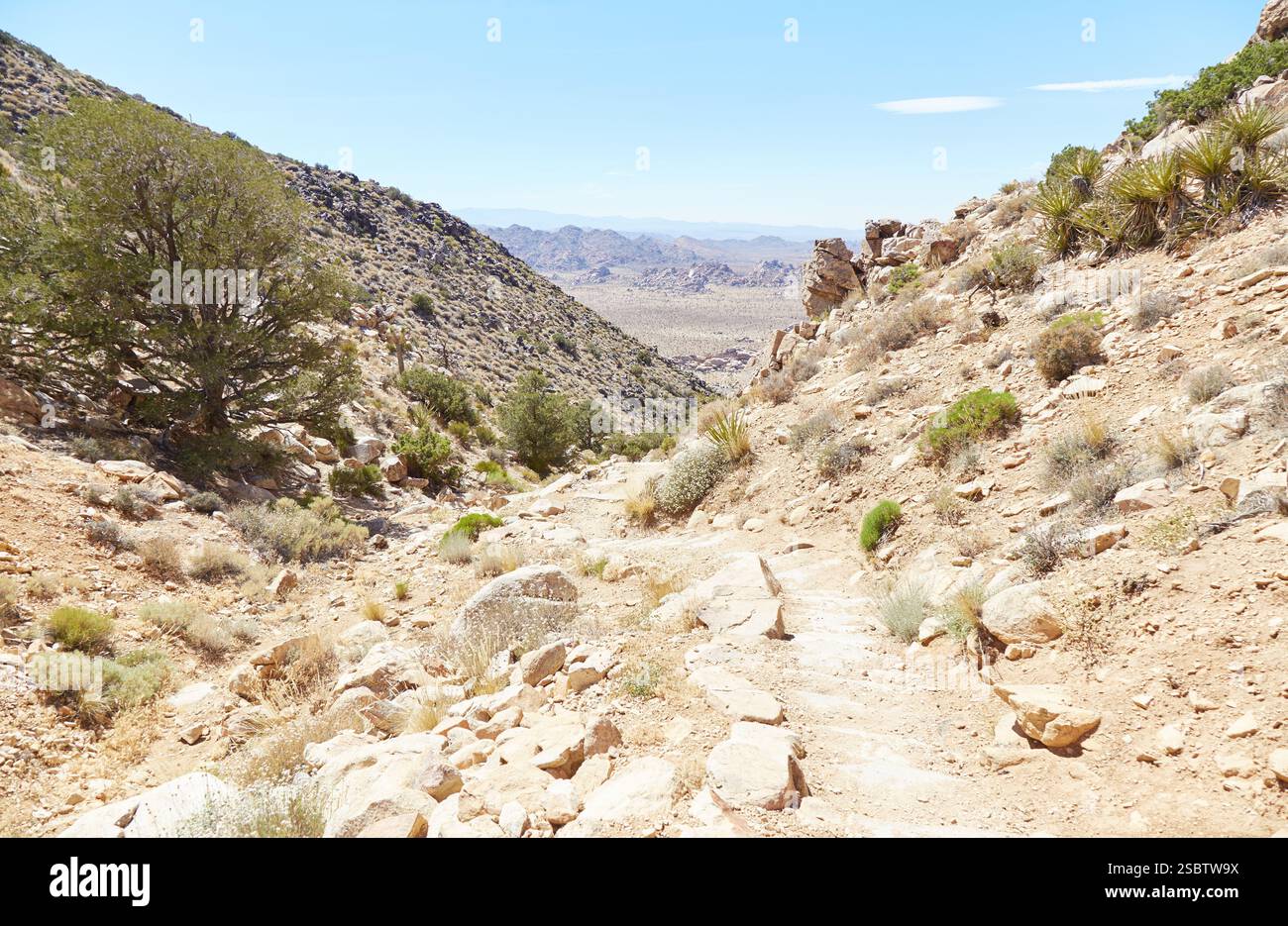 Joshua Tree National Park is where the Colorado and Mojave deserts ...