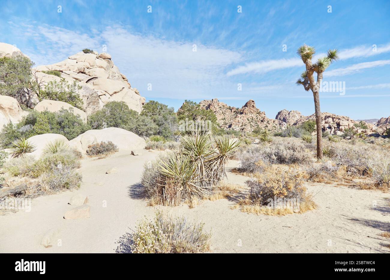 Joshua Tree National Park is where the Colorado and Mojave deserts ...