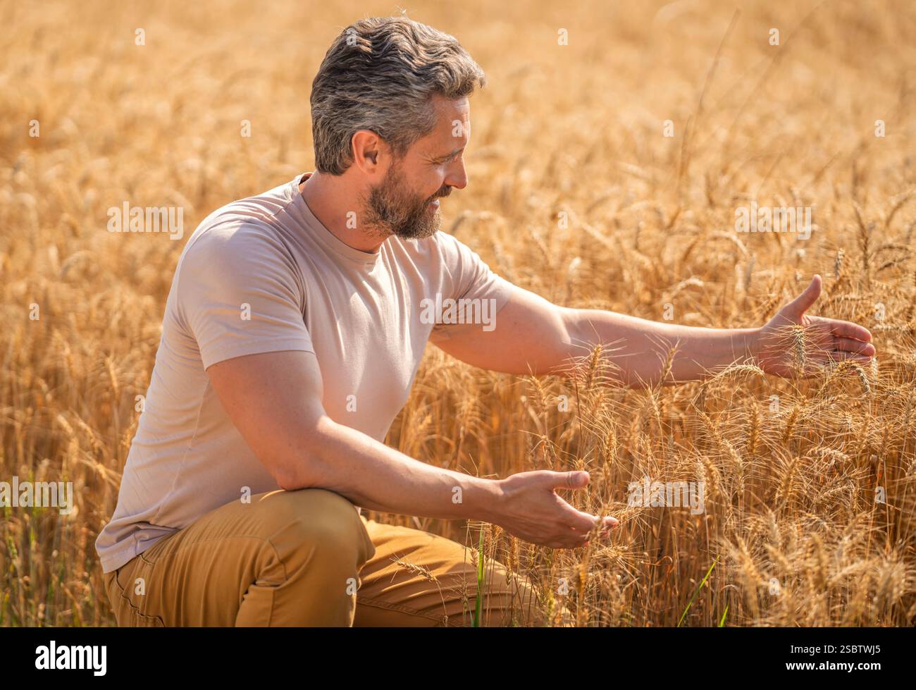 Agriculture farm. Farm man at wheat field. Crop harvest and farming ...