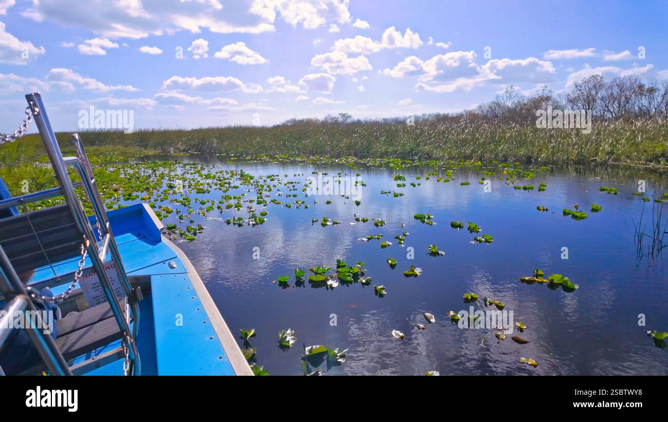 Airboat Ride through the Swamps and grasslands of Florida Stock Photo ...