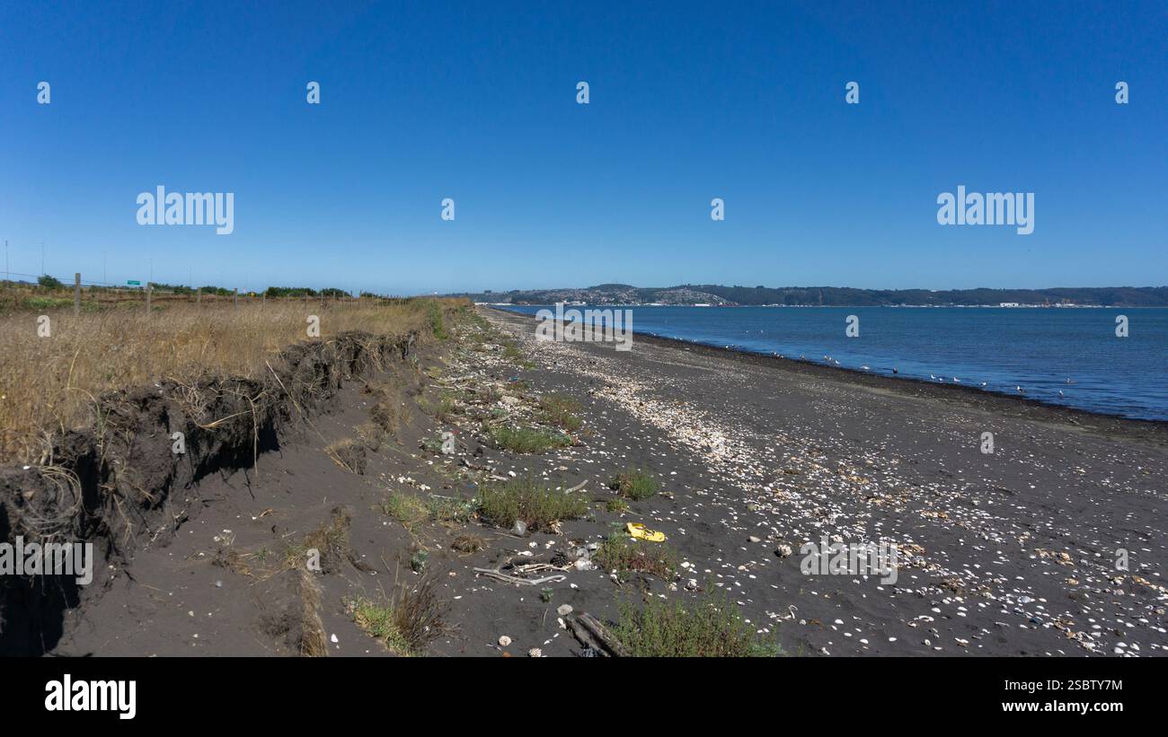 Panoramic view of the Rocuant beach at the Concepcion bay. An erosional ...
