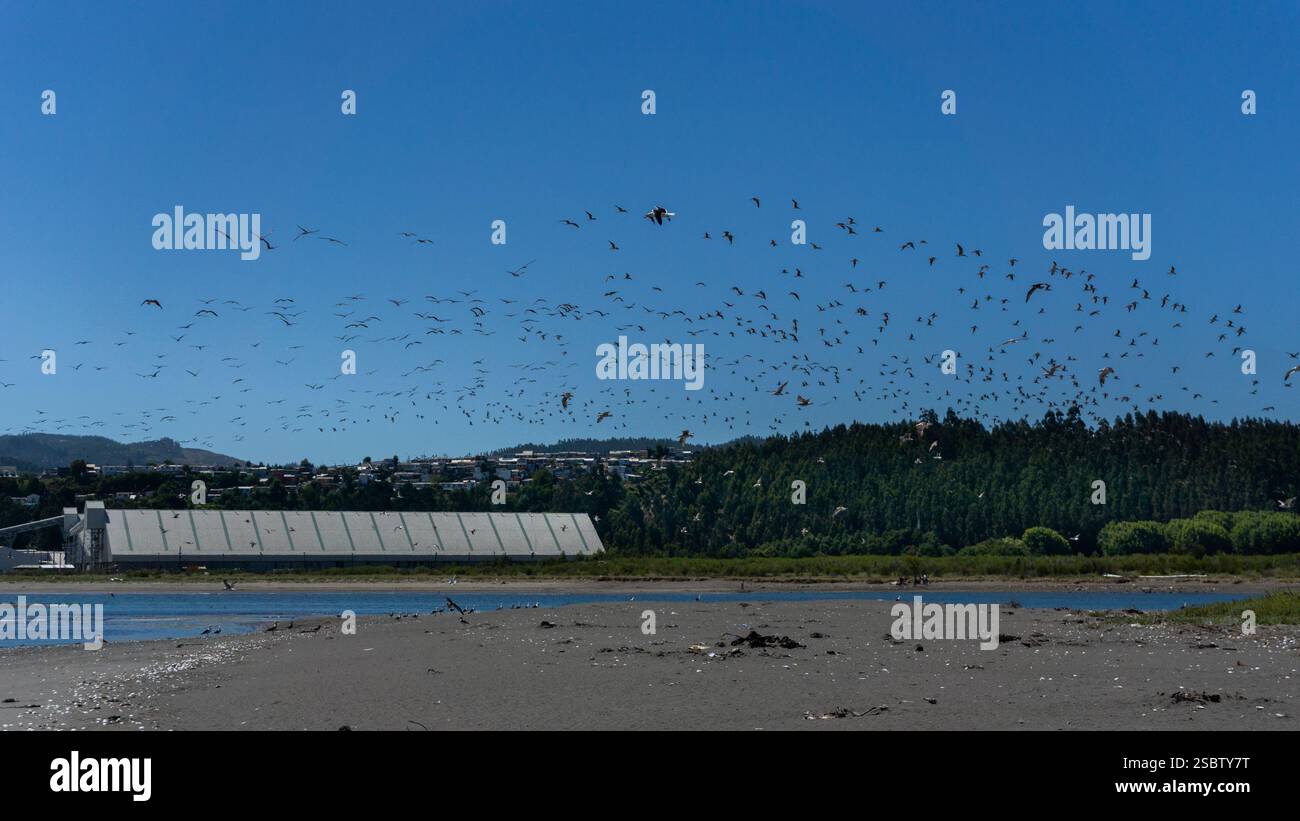 Landscape view of the Andalien river mouth at the Concepcion bay ...