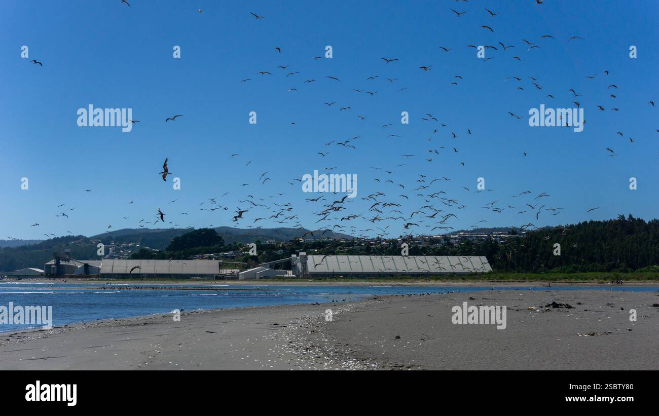 Landscape view of the Andalien river mouth at the Concepcion bay ...