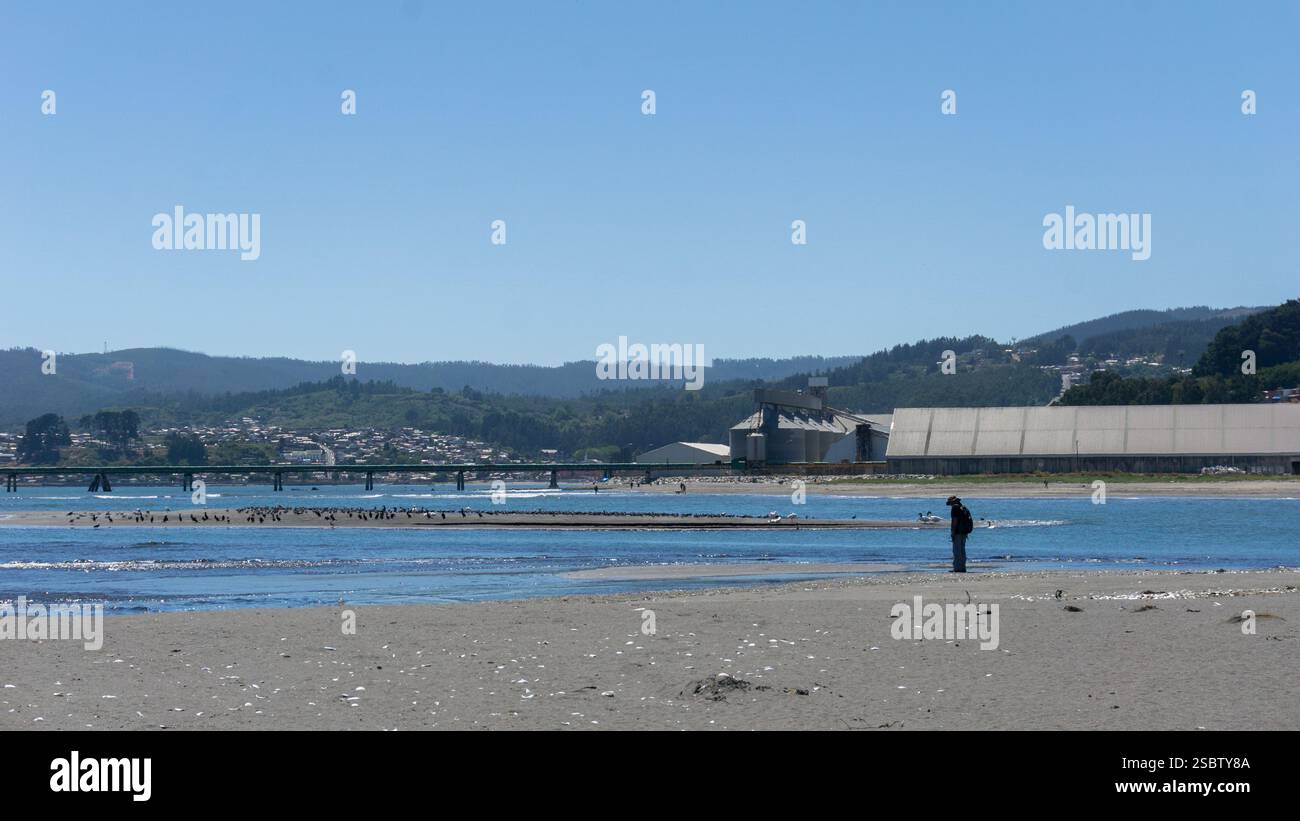 Landscape view of the Andalien river mouth at the Concepcion bay ...