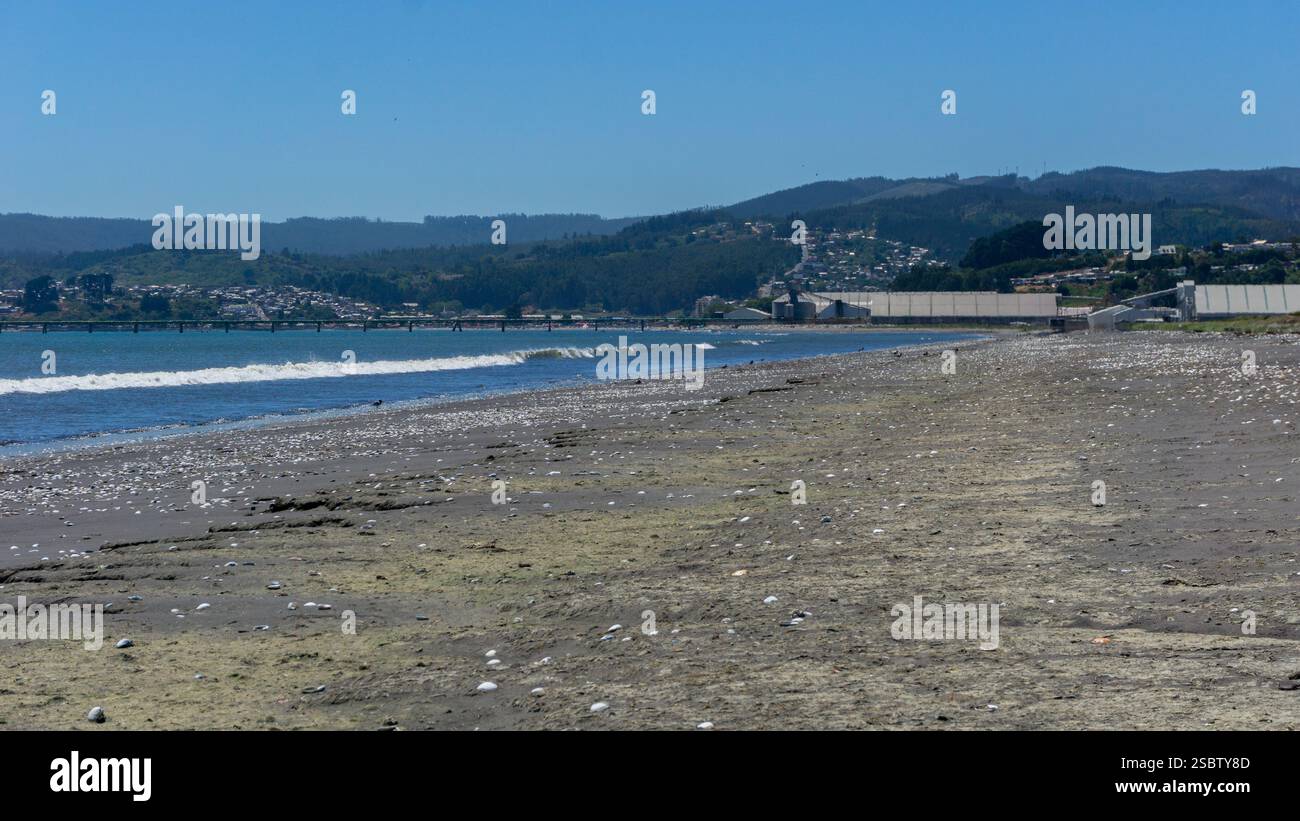 Landscape view of the Andalien river mouth at the Concepcion bay ...