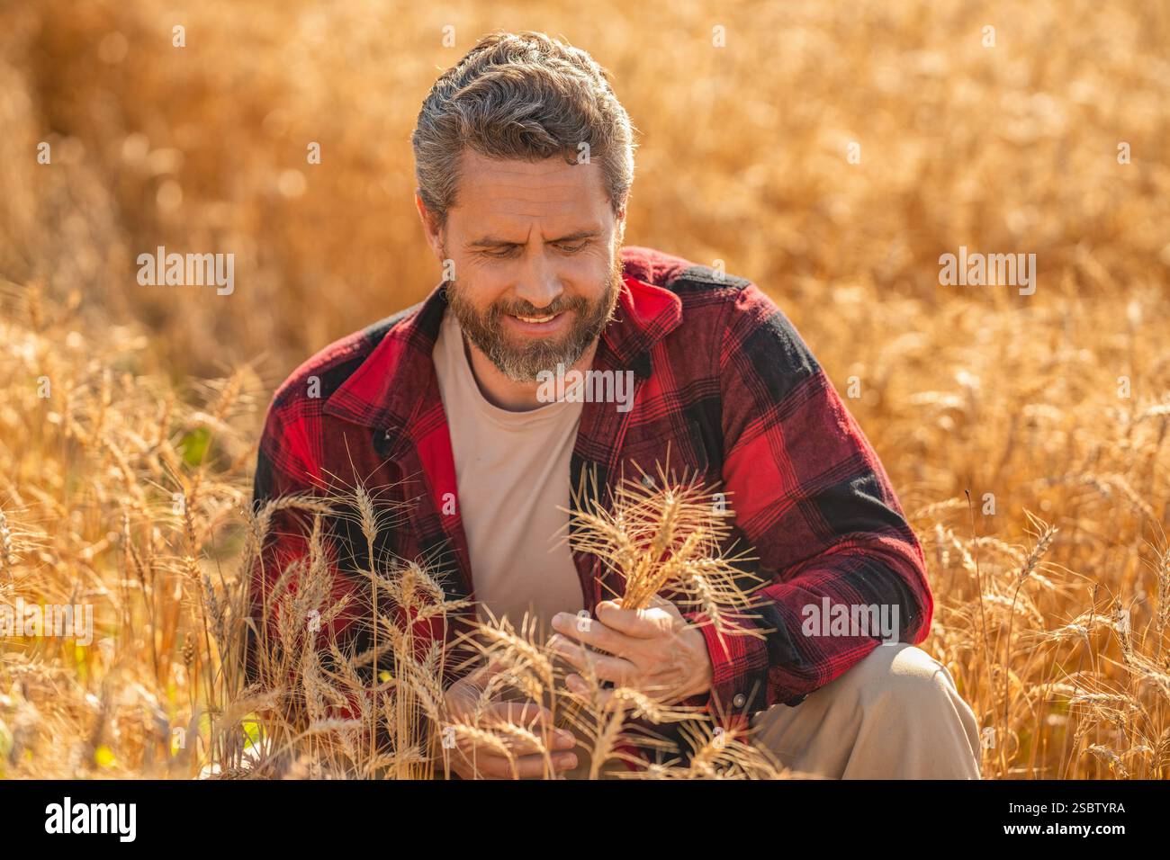 Farm man at wheat field. Crop harvest and farming. Farmer in field ...