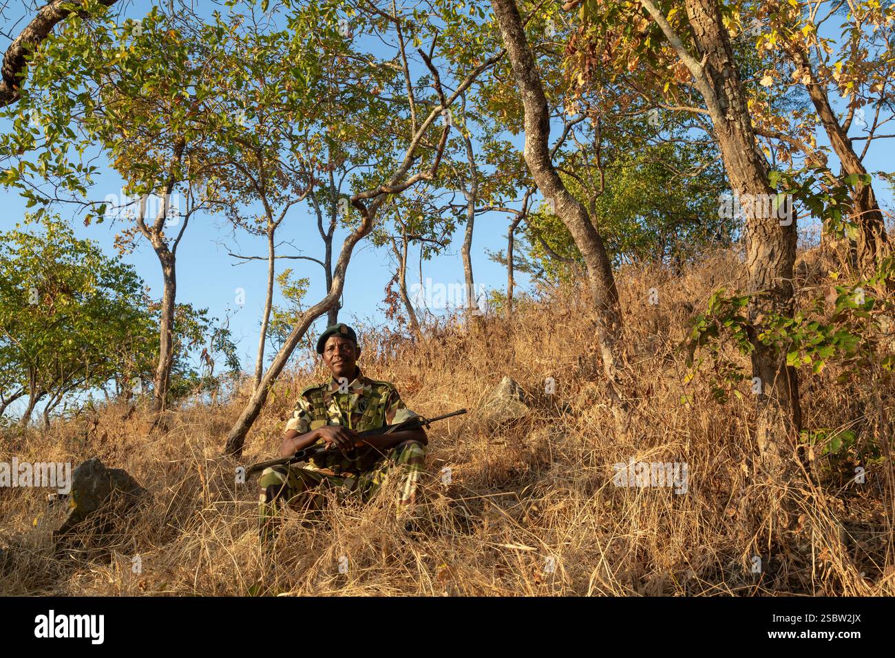 Game guard in the field at the Vwaza Nature reserve Stock Photo - Alamy