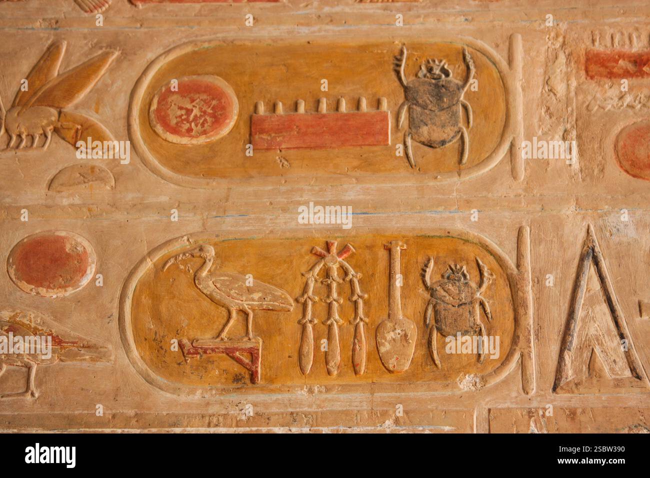 Detailed Ancient Egyptian Hieroglyphic Inscriptions Carved in Stone ...