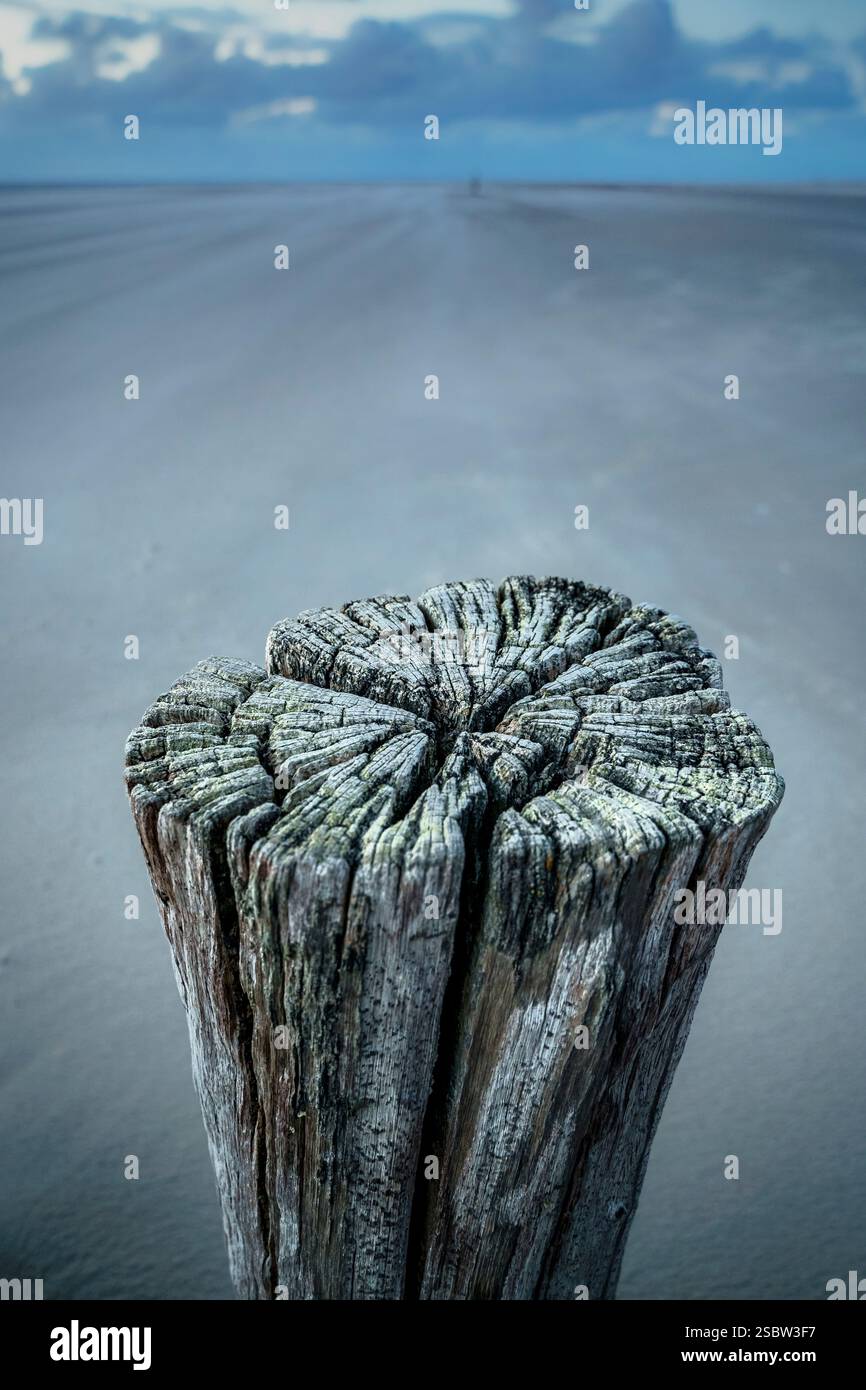 Empty beach with drifting sand from the strong wind on a Dutch Wadden ...