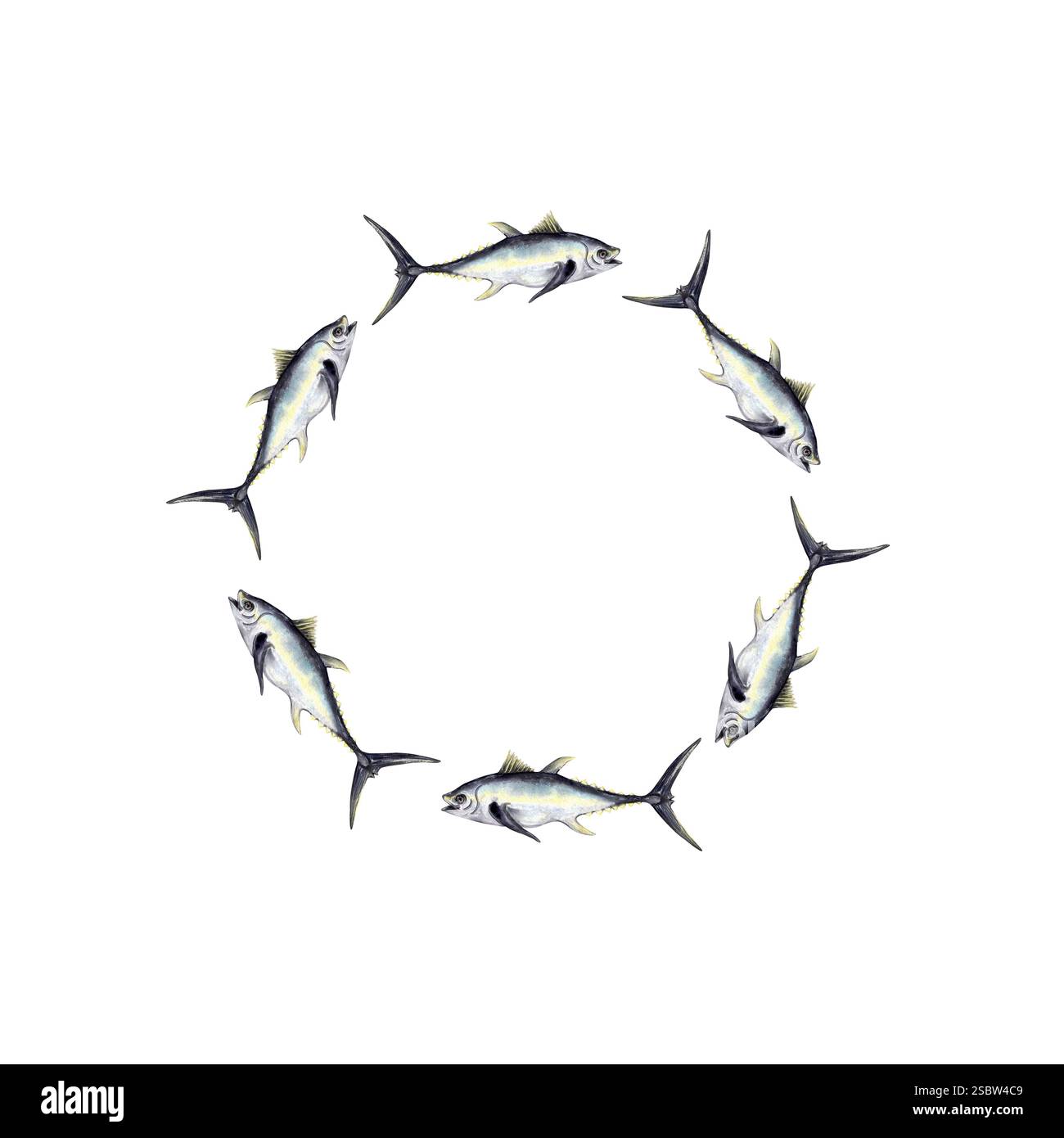 Border design fish swimming illustration hi-res stock photography and ...