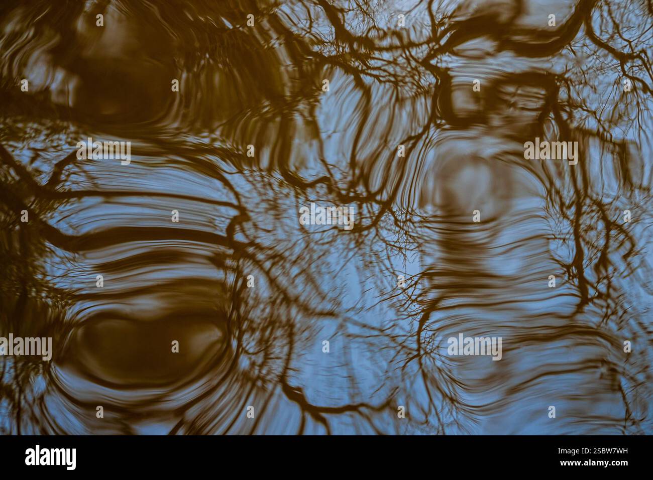 Harmonious visual texture hi-res stock photography and images - Alamy