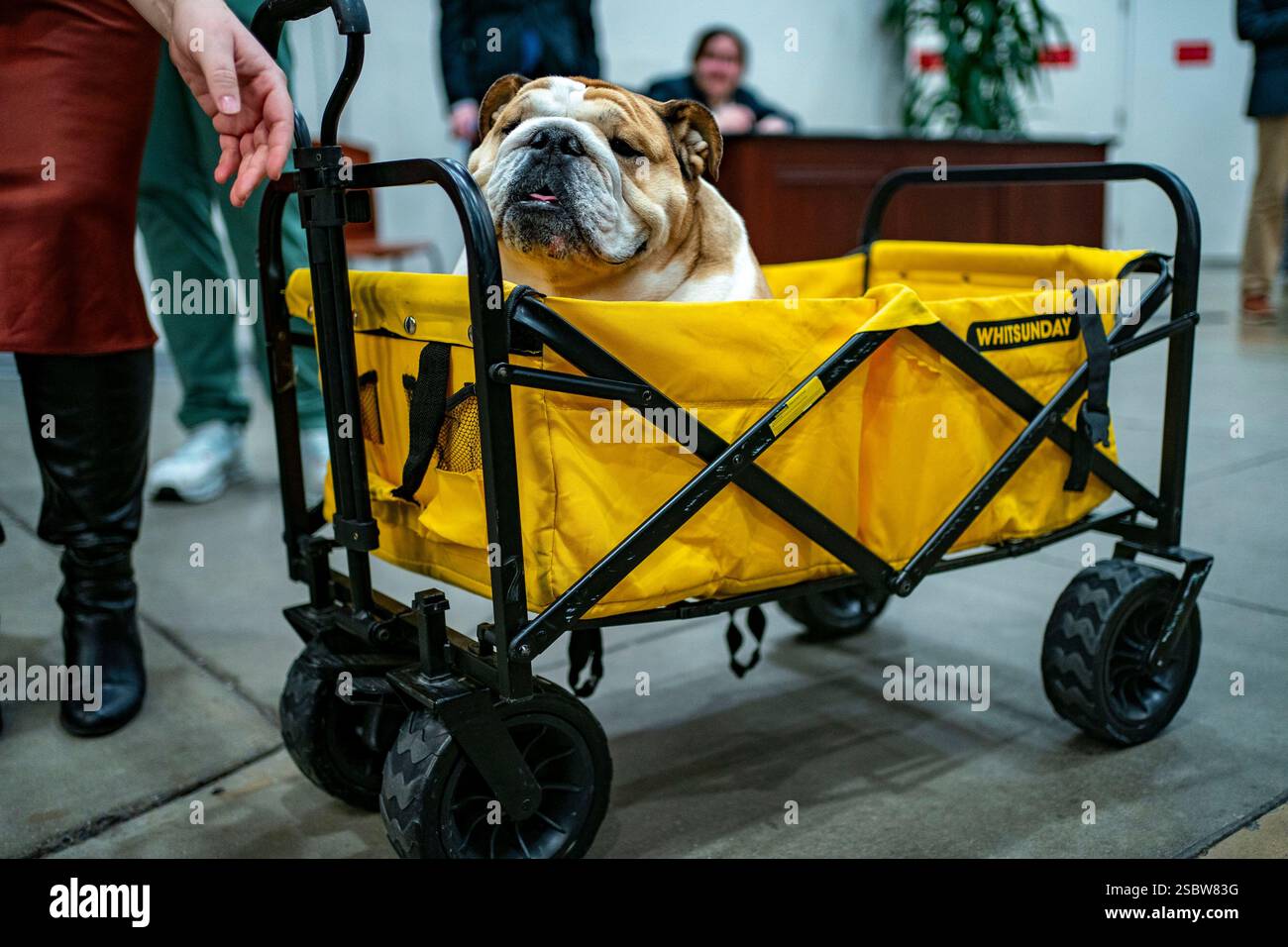 Washington, United States. 04th Feb, 2025. Sen. Jim Justice's, R-WV ...