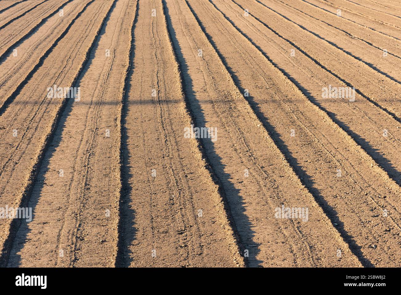 Campo arado y preparado para la siembra en la vega de Granada, España ...