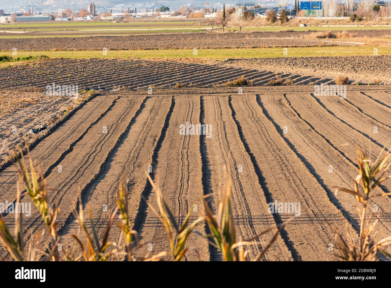 Arado de la agricultura de campo hi-res stock photography and images ...