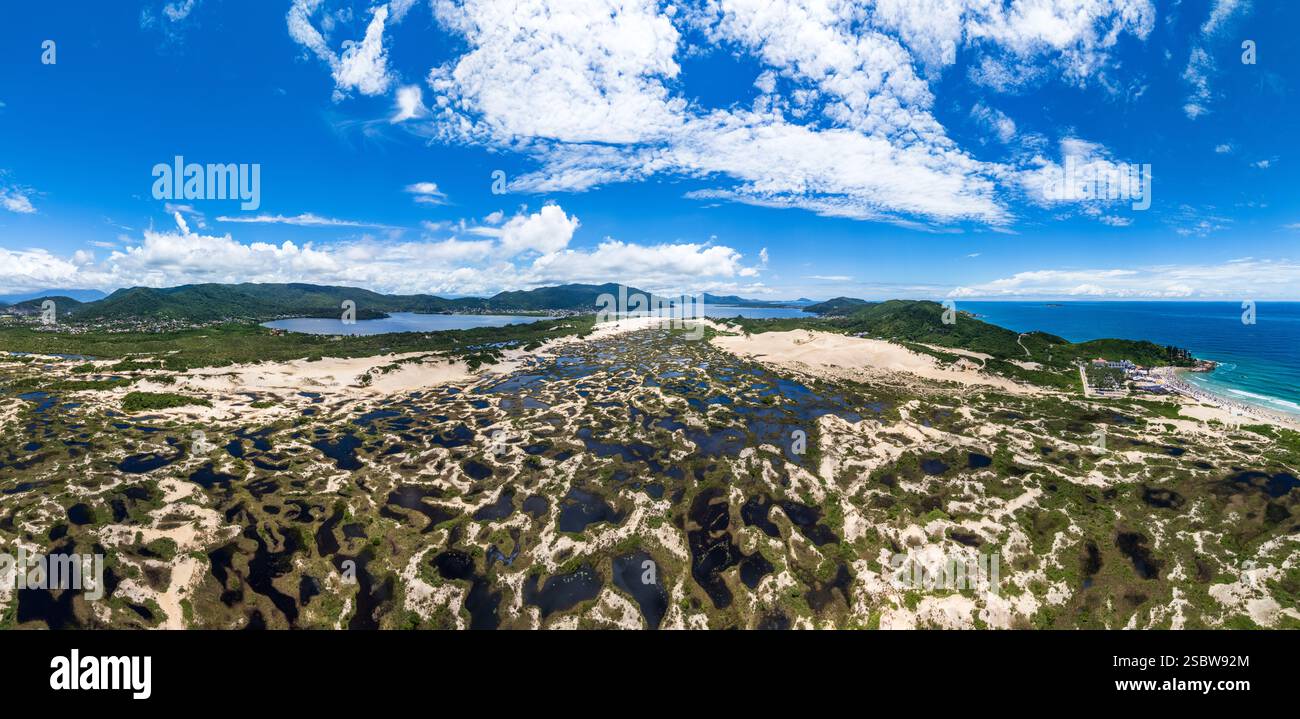 Preserved Brazilian beach with sandbanks and splendid nature on a sunny ...