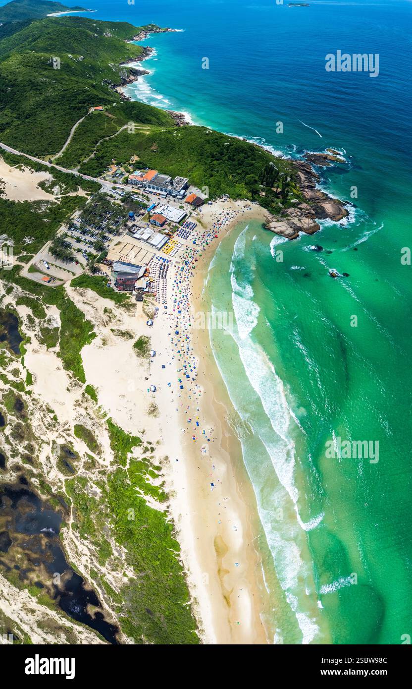 Preserved Brazilian beach with sandbanks and splendid nature on a sunny ...