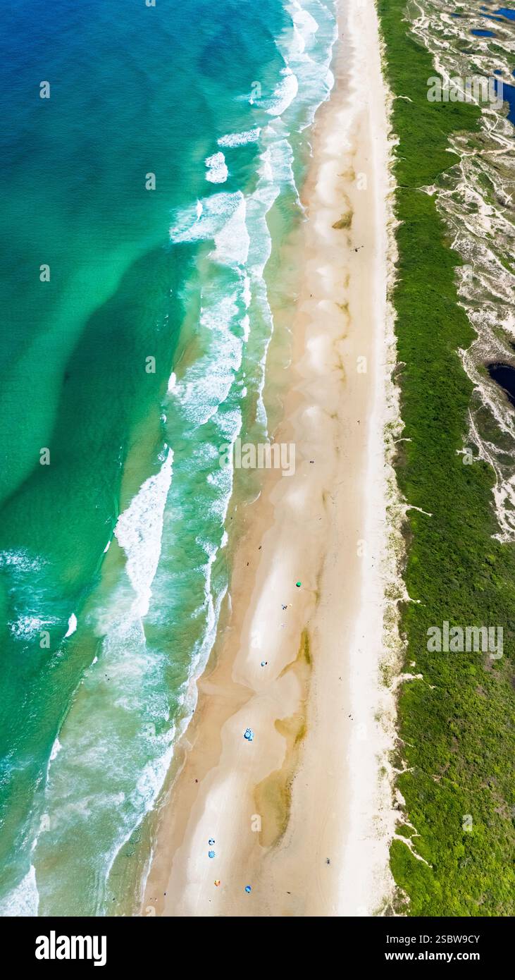 Preserved Brazilian beach with sandbanks and splendid nature on a sunny ...