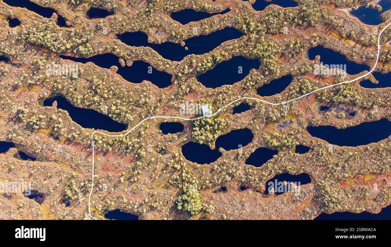 Aerial View of Wetland with Wooden Pathway Stock Photo - Alamy