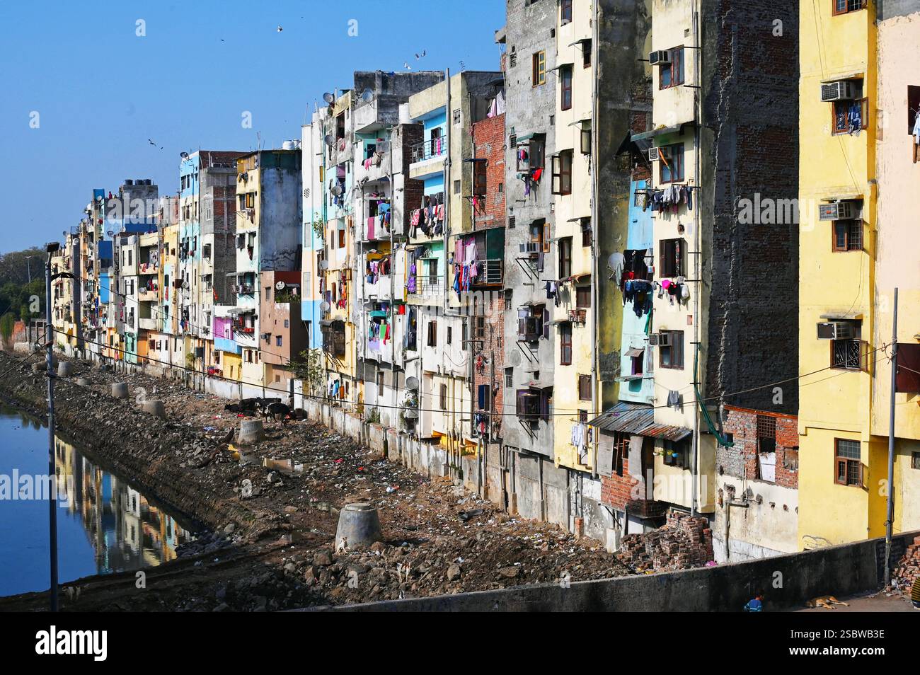 New Delhi, India. 03rd Feb, 2025. NEW DELHI, INDIA - FEBRUARY 3 ...