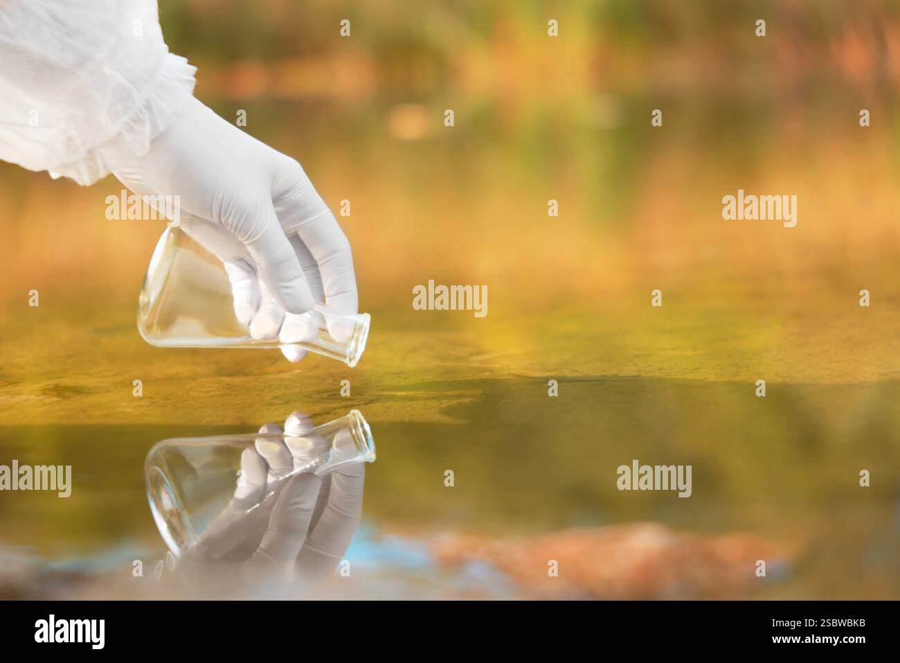 Examination of water quality. Researcher taking water sample from lake ...