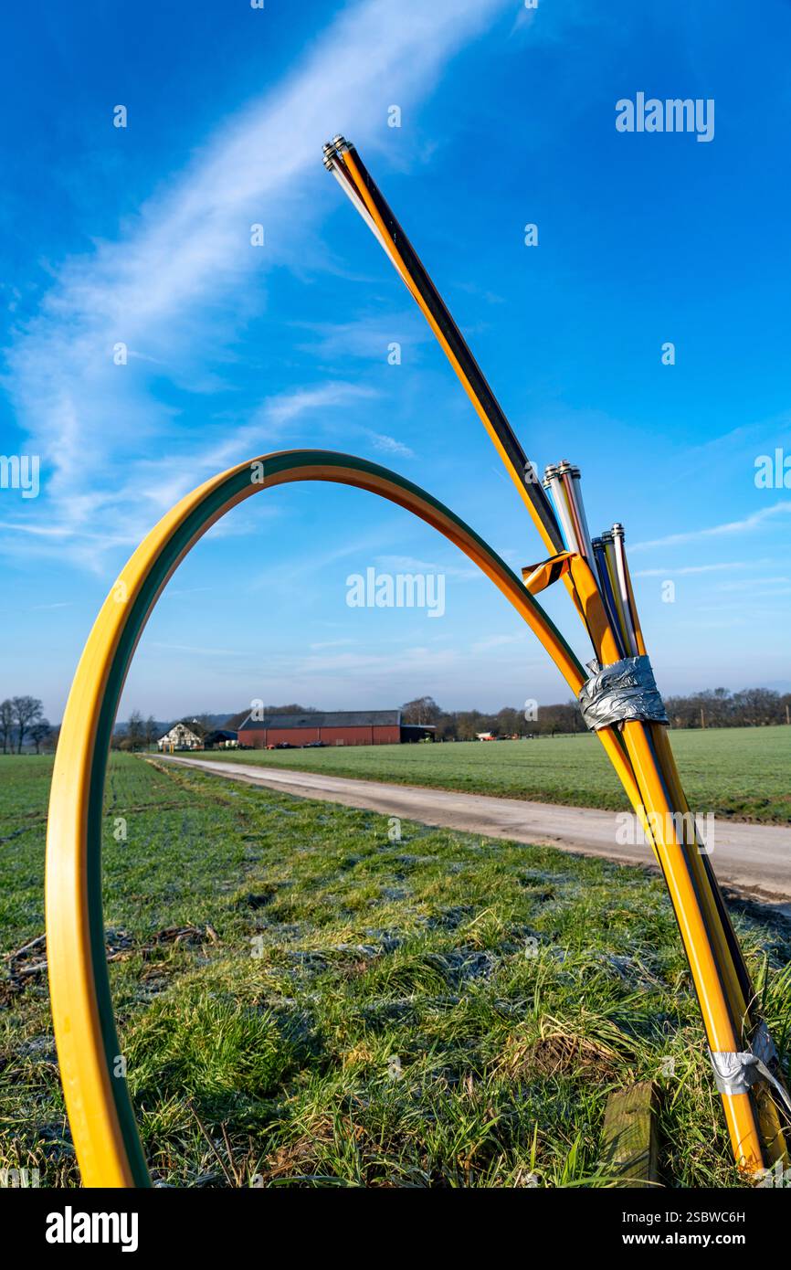 Fibre-optic connection: empty conduits poke out of the ground on a dirt ...