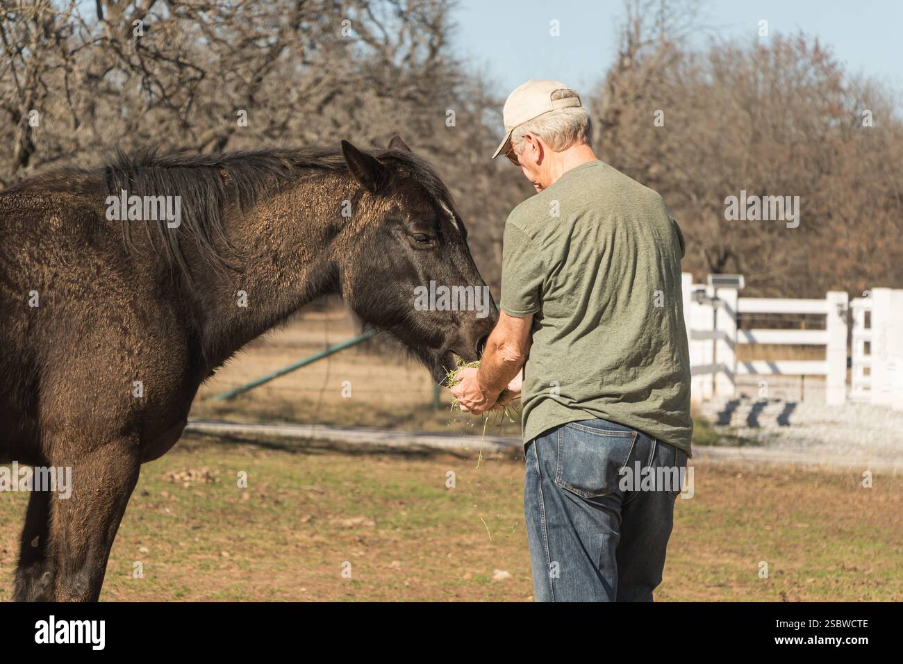 Herbage senior hi-res stock photography and images - Alamy