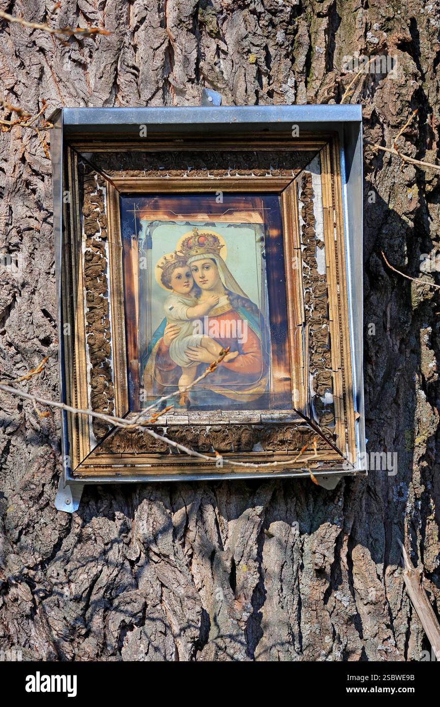 A picture of St. Mary with the baby Jesus on the trunk of a mighty ...