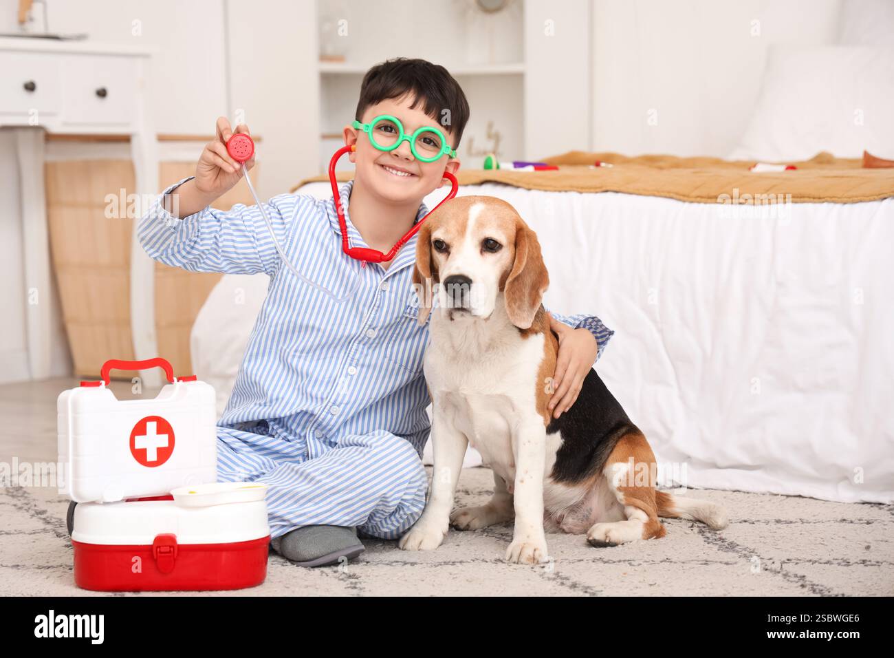 Funny little doctor with Beagle dog and toy stethoscope in bedroom ...