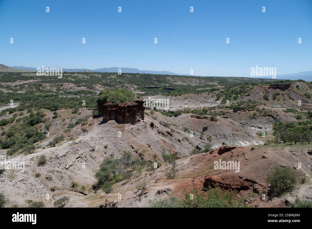 panoramic view of the great slenk rift valley tanzania Stock Photo - Alamy