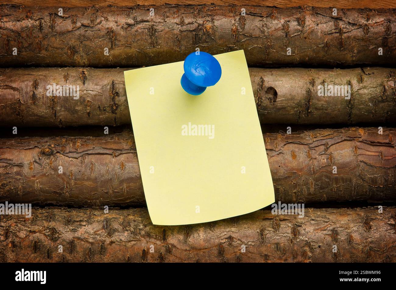A piece of paper pinned the button on the board Stock Photo - Alamy