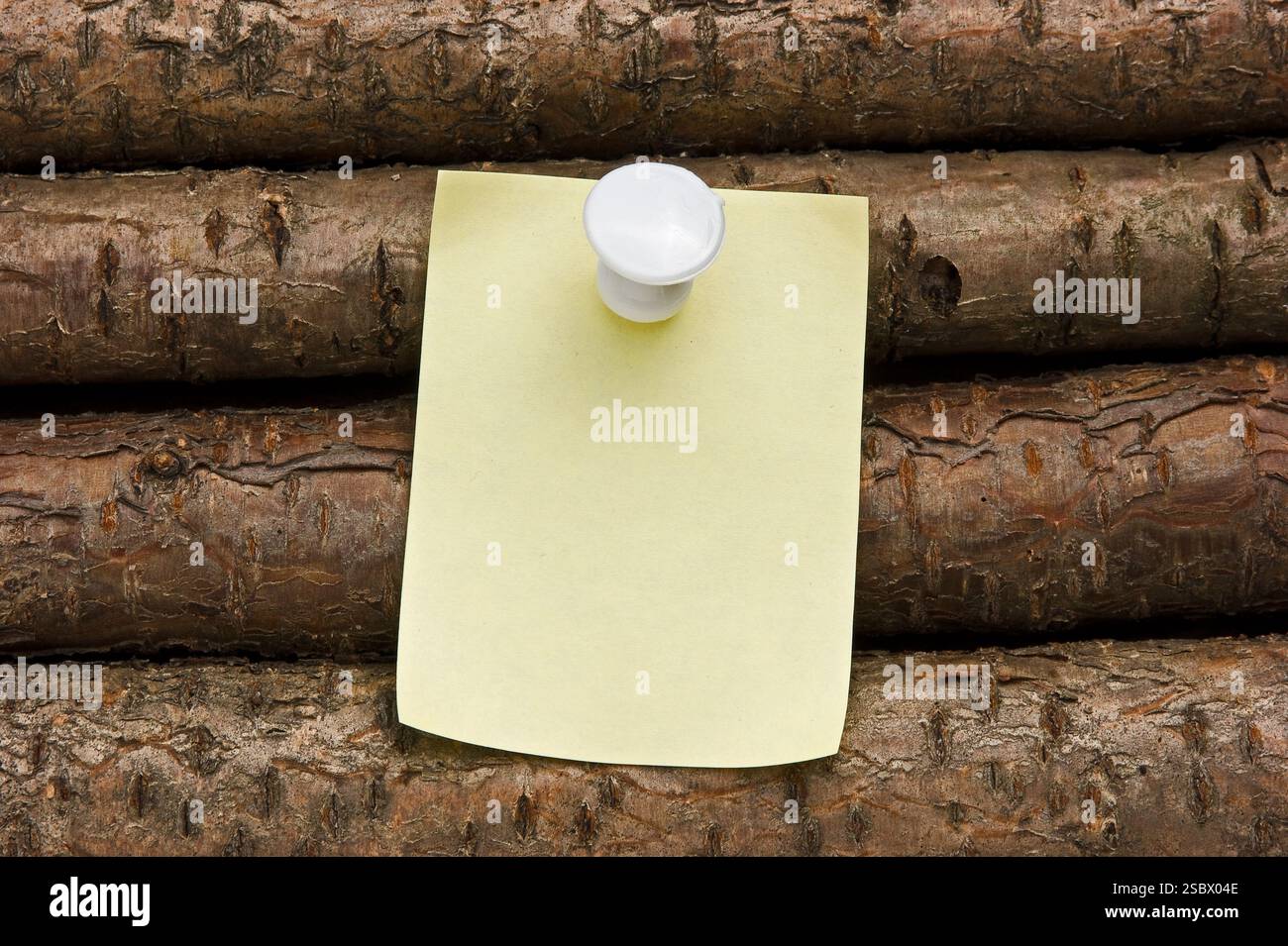 A piece of paper pinned the button on the board Stock Photo - Alamy