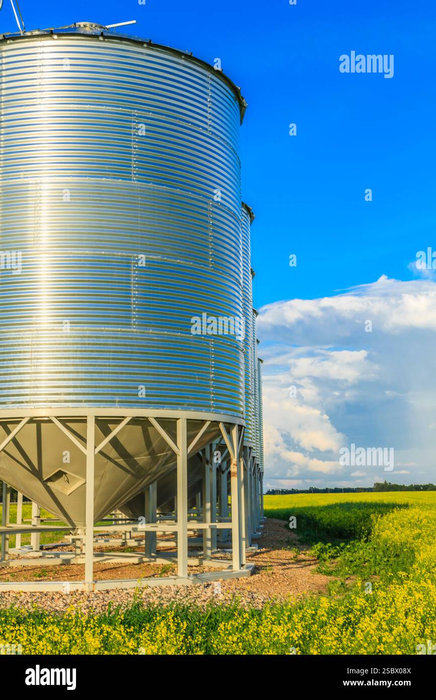 Large metal tank is in a field. The tank is surrounded by a fence. The ...